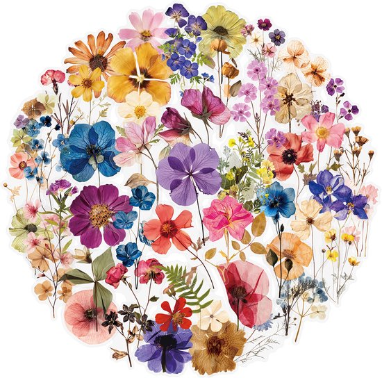 Stickers – Set van 50 transparante – reliëf botanische stickers (PET ...
