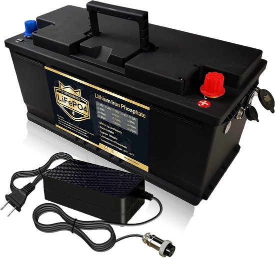 12V 100Ah LiFePO4 Lithium Accu met 100A BMS - Diepcyclus voor ...