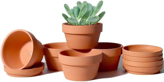 Terra Cotta Succulent Potten - 6-Pack met Onderschotel - Binnen en ...