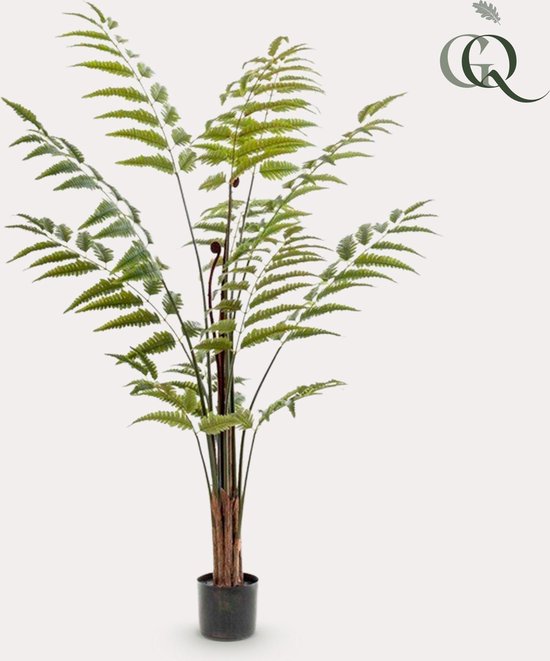 Kunstplant - Rumohra Adiantiformis - Ledervaren - 150 cm | bol