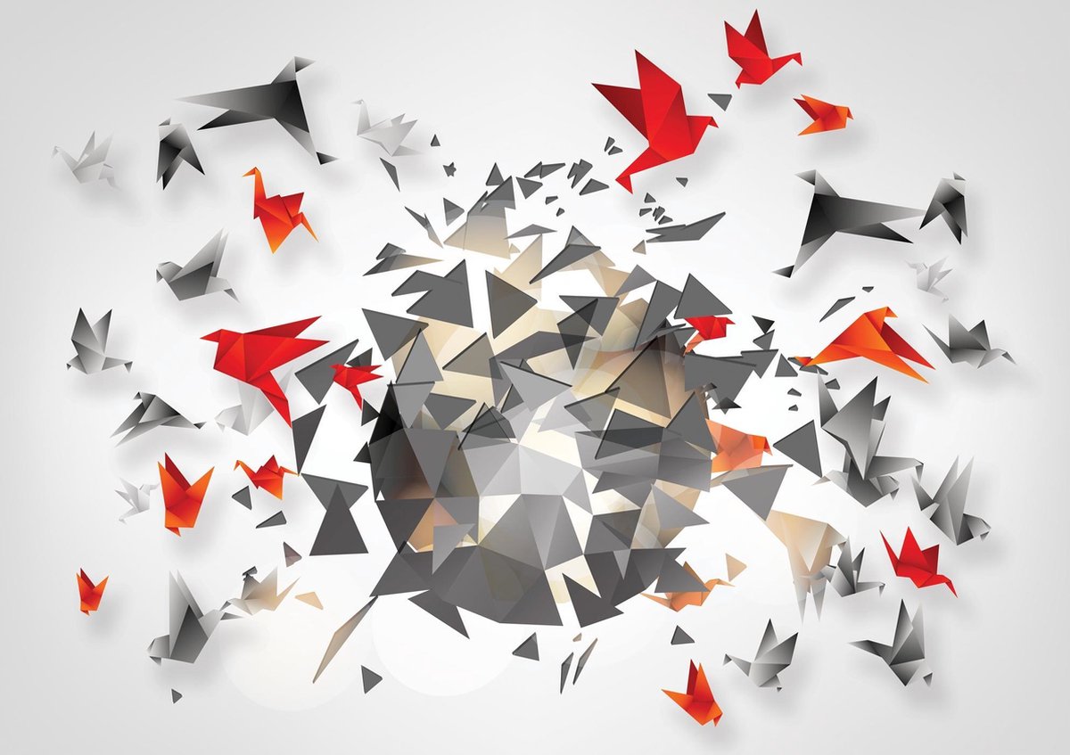 Explosion Birds Abstract Photo Wallcovering | bol.com