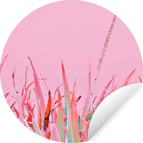 WallCircle - Muurstickers - Behangcirkel - Zomer - Planten - Pastel - 100x100 cm -... | bol