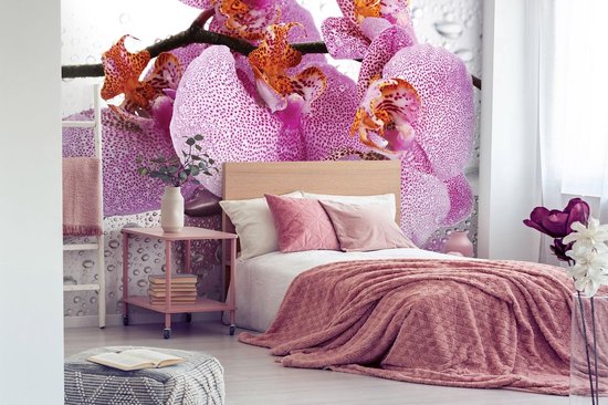 Fotobehang - Vlies Behang - Orchidee - 208 x 146 cm | bol