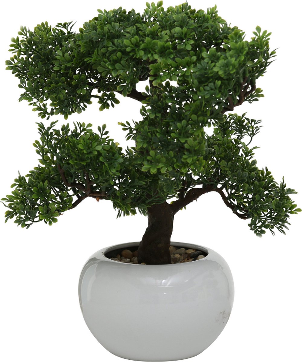 Dulaire Kunst Bonsai Boompje 33 cm - A | bol.com