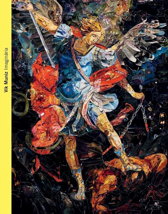Vik Muniz Imaginária Stephane Ibars 9782330127633 Boeken