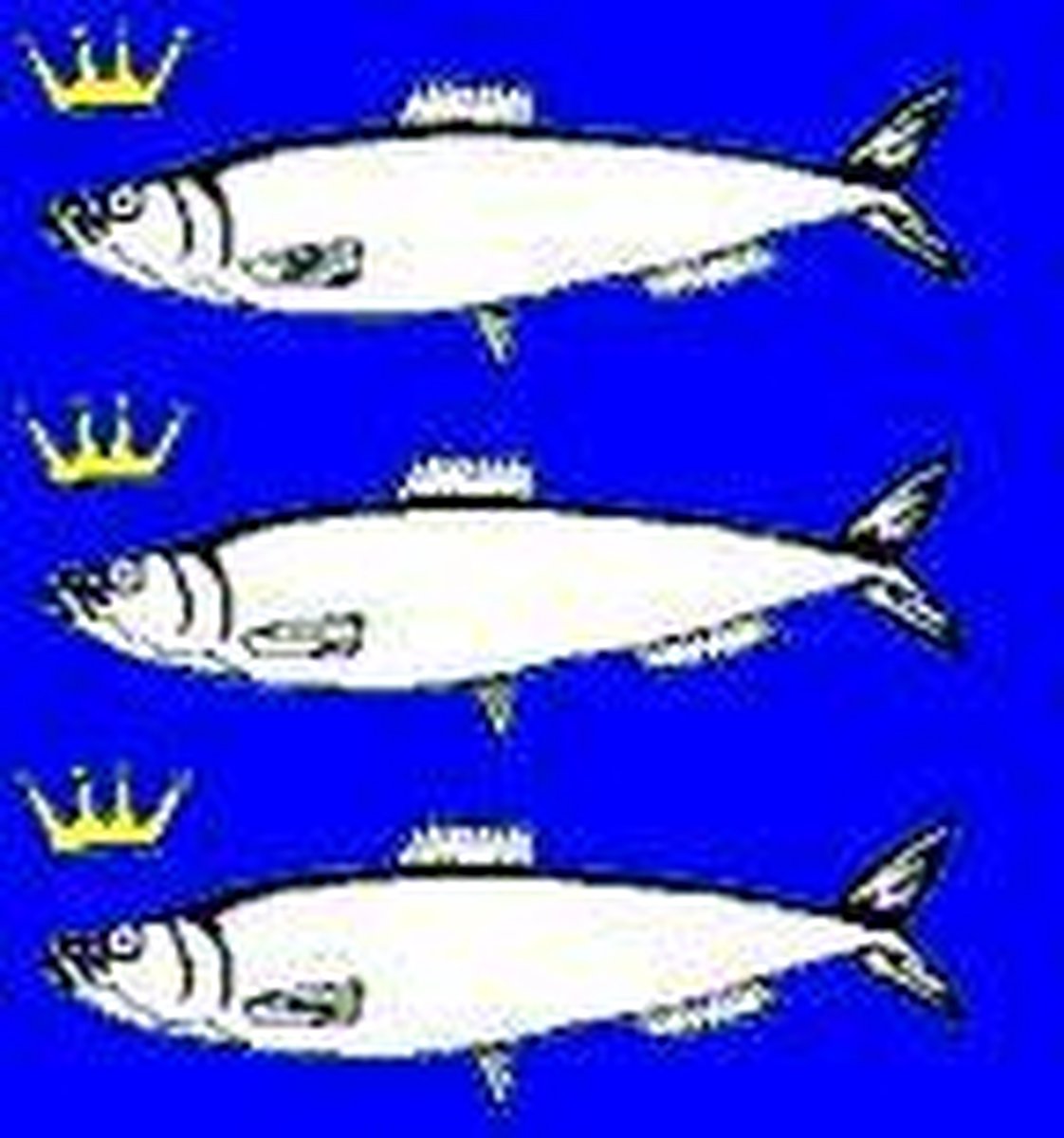 Vlag Scheveningen 70x100cm | bol