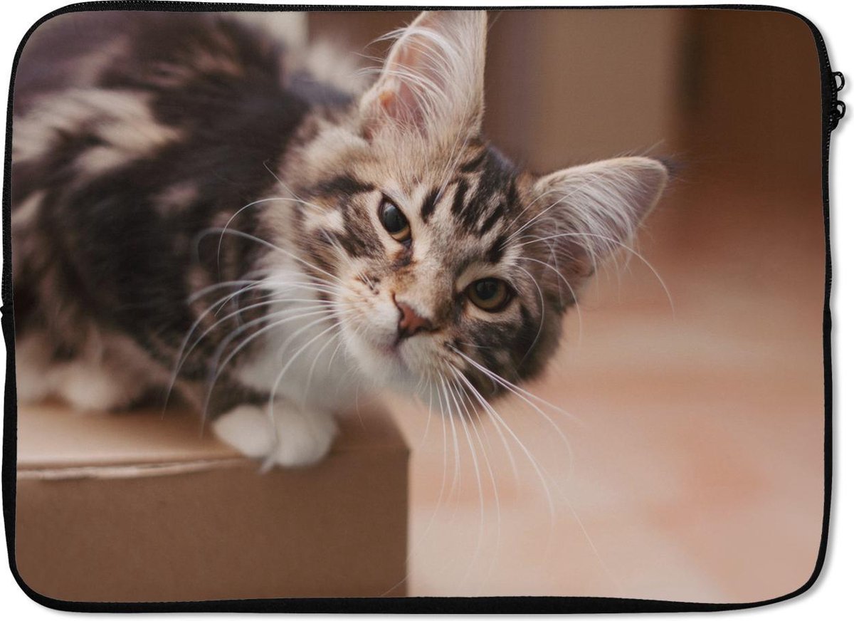 Laptophoes 13 inch 34x24 cm - Kat in Doos - Macbook & Laptop sleeve ...