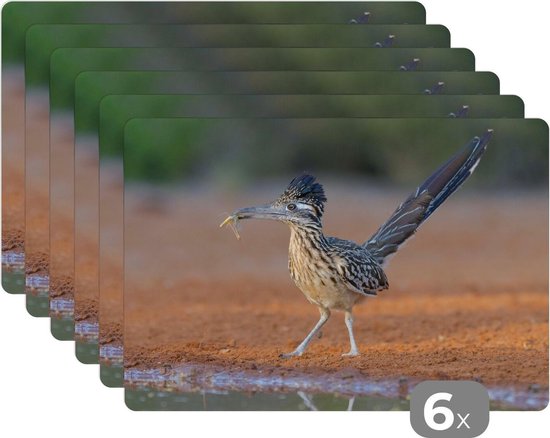 Set de table - Un roadrunner se tient près d'un étang bleu - 45x30 cm ...
