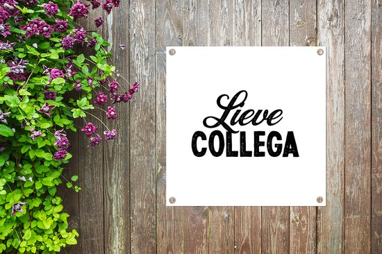 Tuindoek Quotes - Spreuken - 'Lieve collega' - Werk - 100x100 cm | bol