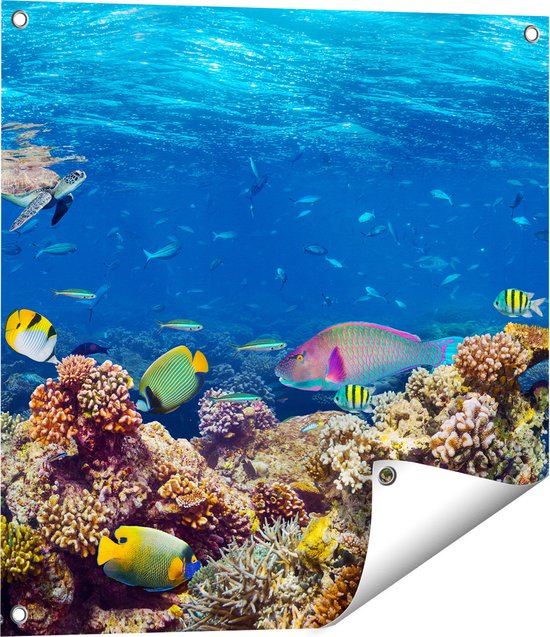 Gards Tuinposter Vissen met Koraalrif in de Oceaan - 60x60 cm ...