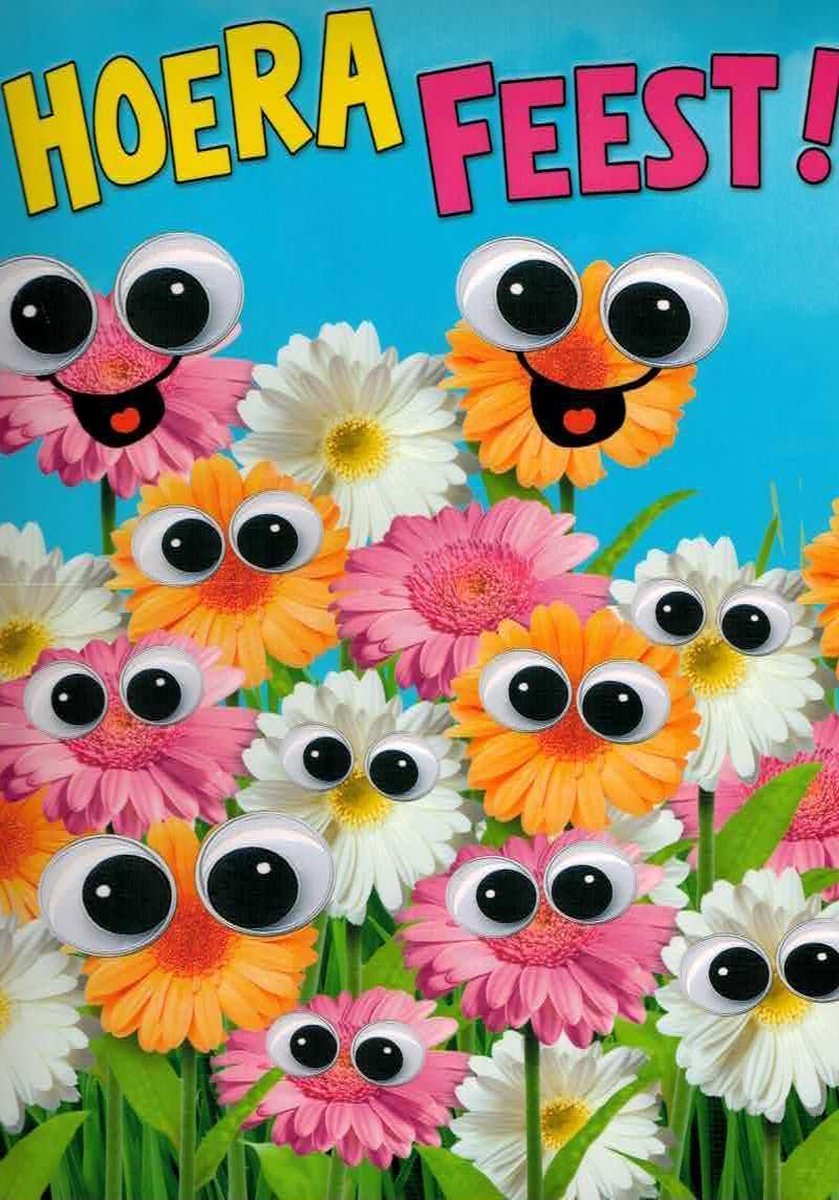 Verjaardagskaart Extra Groot Hoera Feest | bol.com