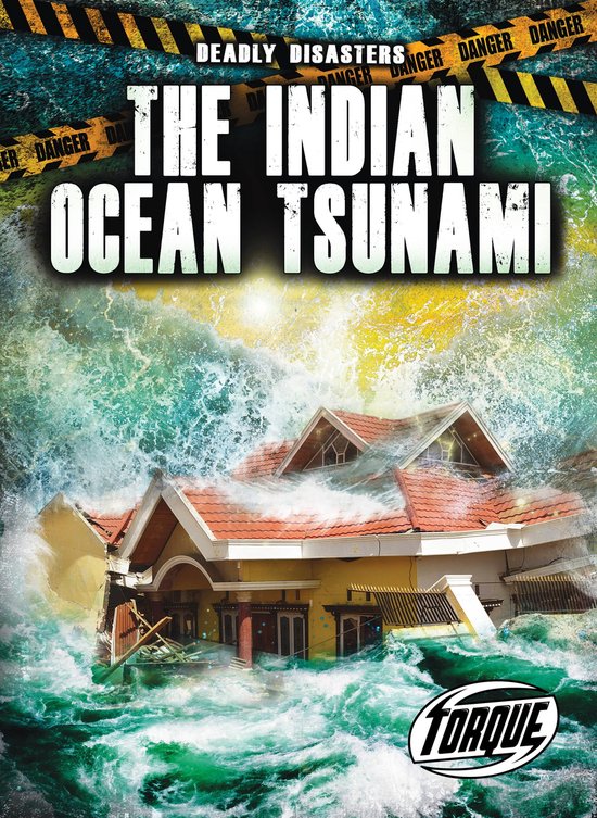 Deadly Disasters - The Indian Ocean Tsunami (ebook), Thomas K. Adamson ...