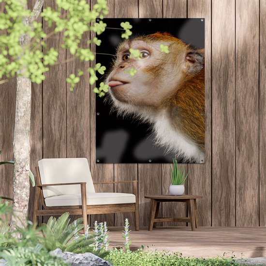 Gards Tuinposter Apenkop met Zijn Tong uit - Aap - 90x120 cm - Tuindoek ...