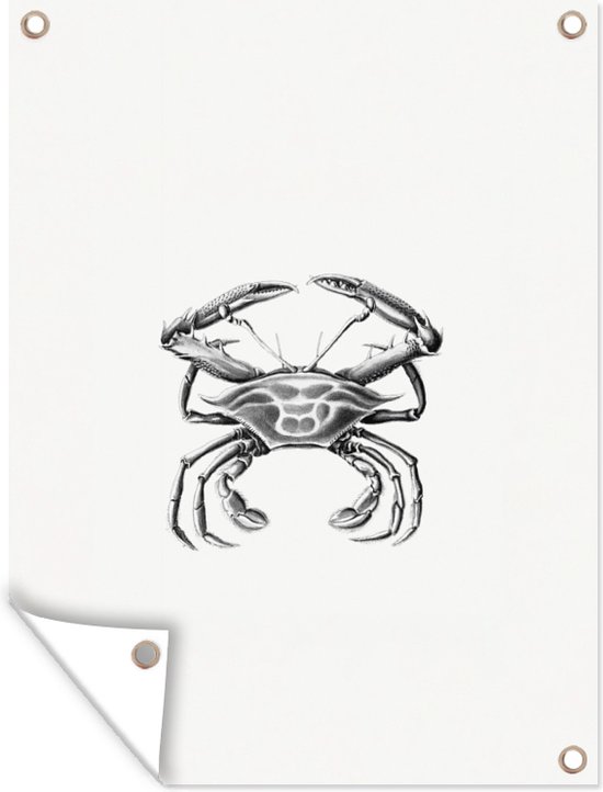 Tuinposter - Ernst Haeckel - Kunst - Tuin - Schuttingdoek - Krab - Dier ...