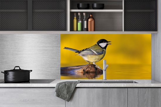 Keuken achterwand behang - Waterafstotend - Koolmees - Vogel - Water ...