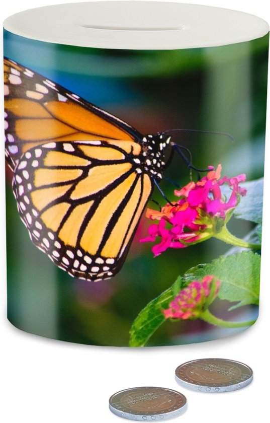 Spaarpot - Spaarblik - Vlinders - Bloem - Natuur - Spaarpotten ...