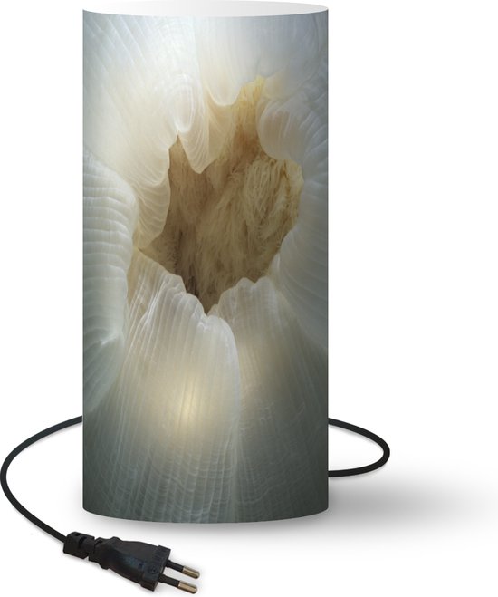 Lamp Zee anemoon - Wit gepluimd zeeanemoon - 33 cm hoog - Ø16 cm ...