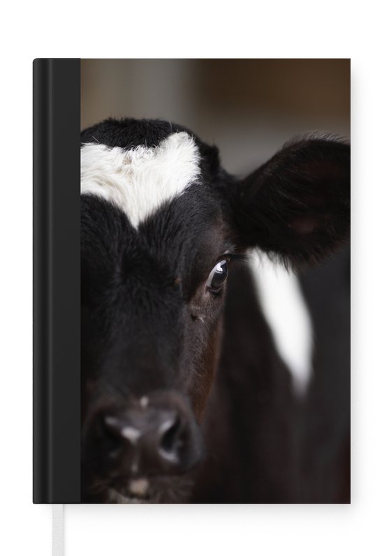Carnet - Carnet d'écriture - Vache - Veau - Nez - Animaux - Carnet ...