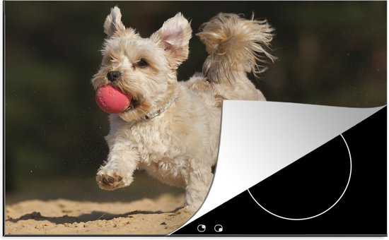 KitchenYeah® Inductie beschermer 80.2x52.2 cm - Een Maltezer hond met ...