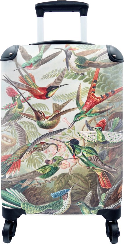 Koffer - Kolibrie - Vintage - Ernst Haeckel - Vogels - Past binnen ...