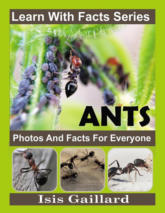 Learn With Facts Series 133 - Ant Photos and Facts for Everyone (ebook ...