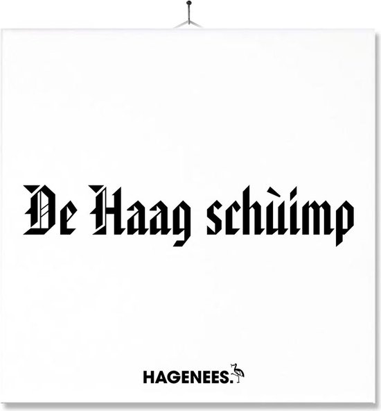 Tegel Met Opdruk | Haagse tekst | bol