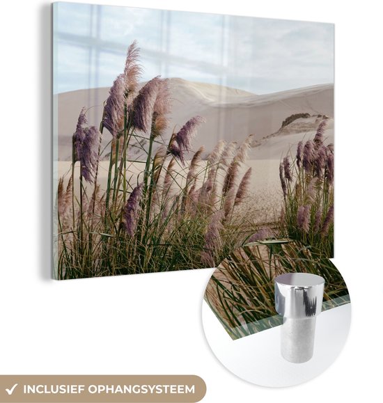 MuchoWow® Glasschilderij 80x60 cm - Schilderij acrylglas - Pampasgras - Zand - Planten... | bol