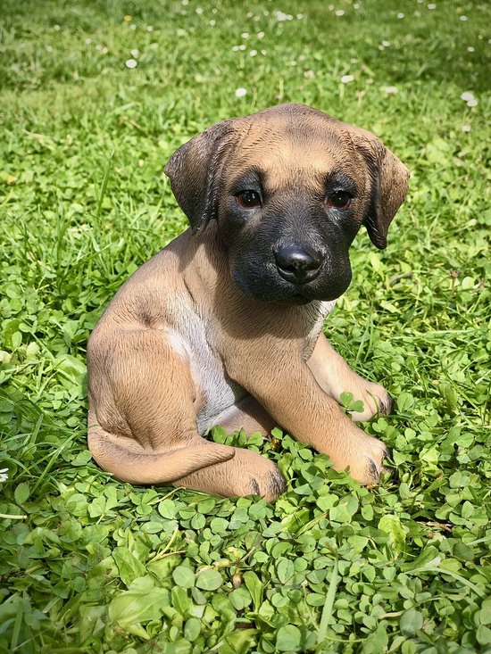 Van Den Broeck Kenny Duitse Dog pup - Levensecht - 16 cm - Voor binnen ...