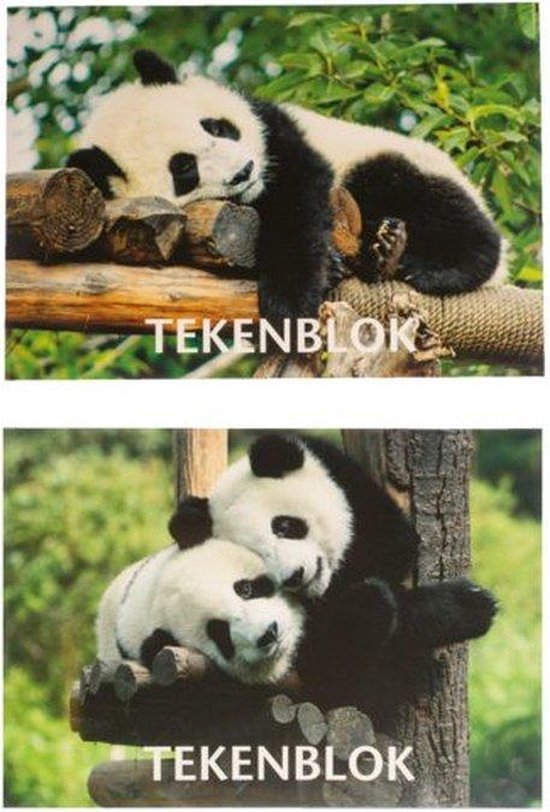 Tekenblok Papyrus A4 panda | bol