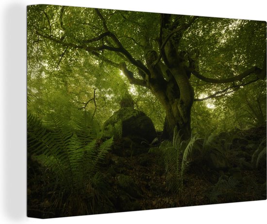 Canvas schilderij 140x90 cm - Wanddecoratie Groen duister bos ...