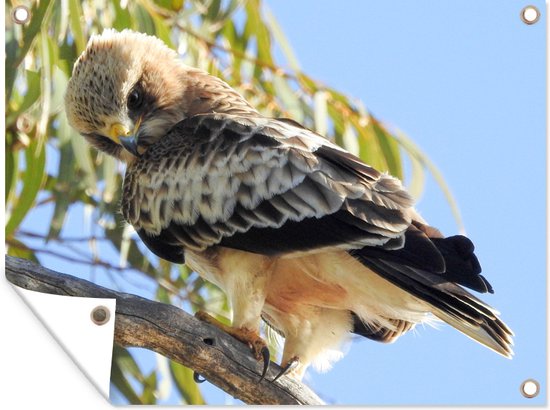 Tuin decoratie Dwergarend op een tak van een boom - 40x30 cm - Tuindoek ...