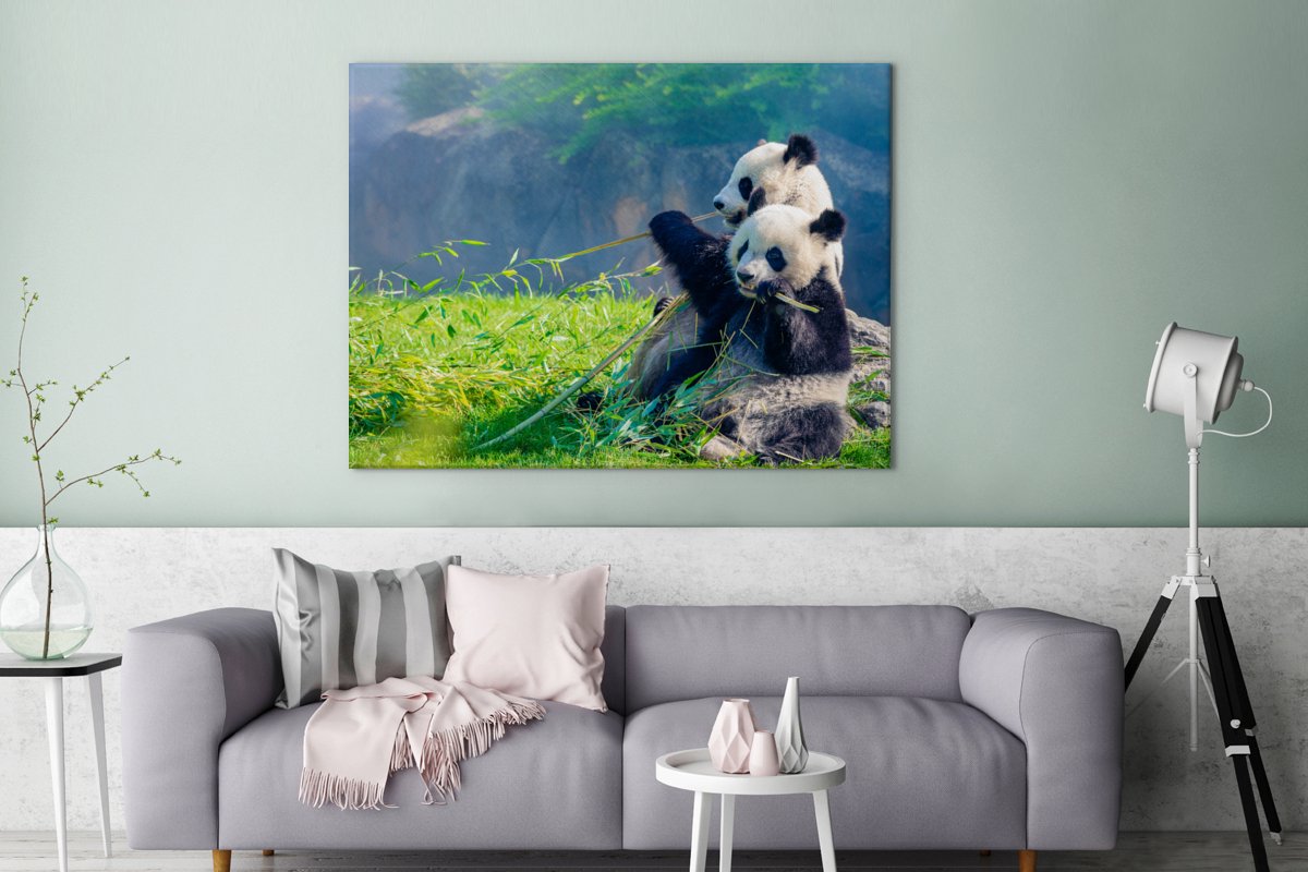 OneMillionCanvasses - Canvas - Panda - Bamboe - Natuur - Muurdecoratie ...