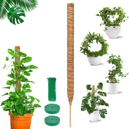 Mosstok 160 cm - Buigbare kaasplant ondersteuning - Kokos paal voor ...