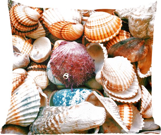 Schelpen - Strand - Griekenland | bol.com