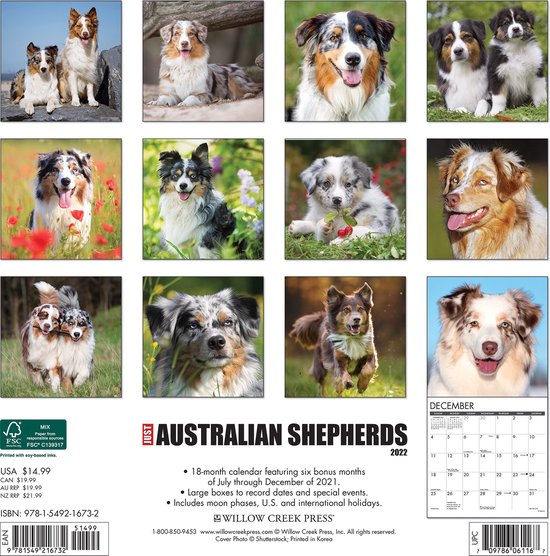 Australian Shepherd Kalender 2022 | bol.com