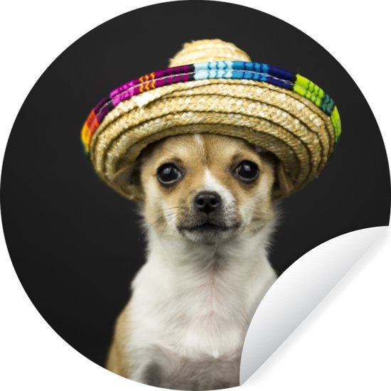 WallCircle - Muurstickers - Behangcirkel - Hond - Sombrero - Zwart - 100x100 cm -... | bol