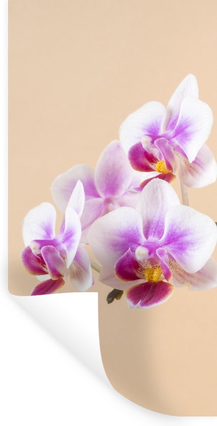 Muurstickers - Sticker Folie - Witte en roze orchidee - 60x120 cm - Plakfolie -... | bol
