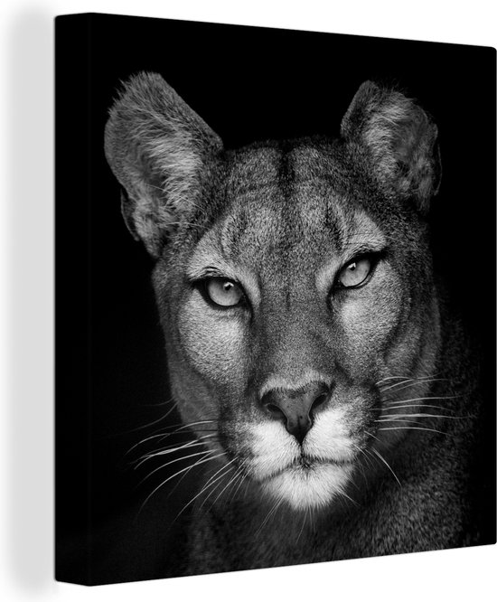 Tableau Tableau Portrait photo puma sur fond noir en noir et blanc ...