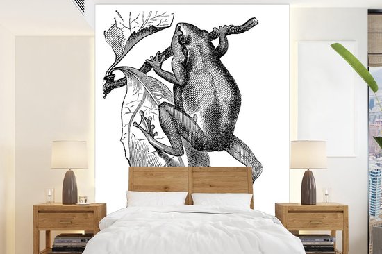 Behang - Fotobehang Kikker - Blad - Zwart - Wit - Breedte 175 cm x ...