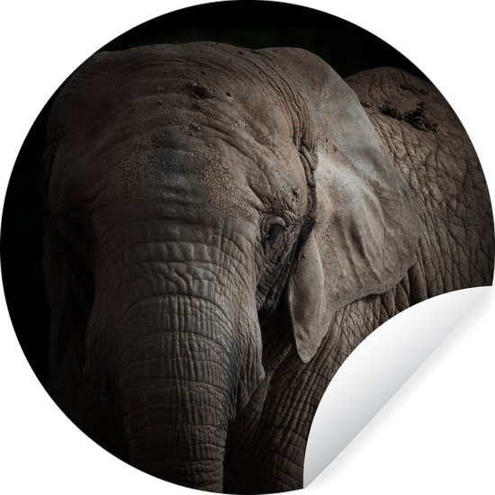 WallCircle - Muurstickers - Behangcirkel - Olifant - Portret - Dieren - Zwart -... | bol