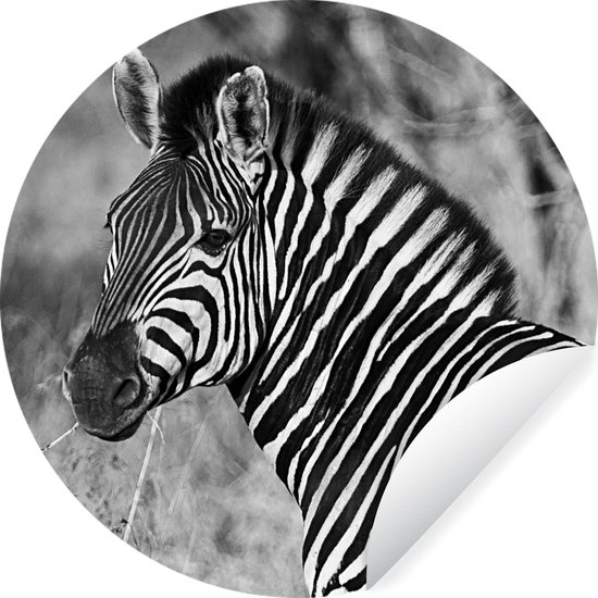 Behangcirkel - Zebra portret - 100x100 cm - Muurcirkel - Zelfklevend - Ronde... | bol.com