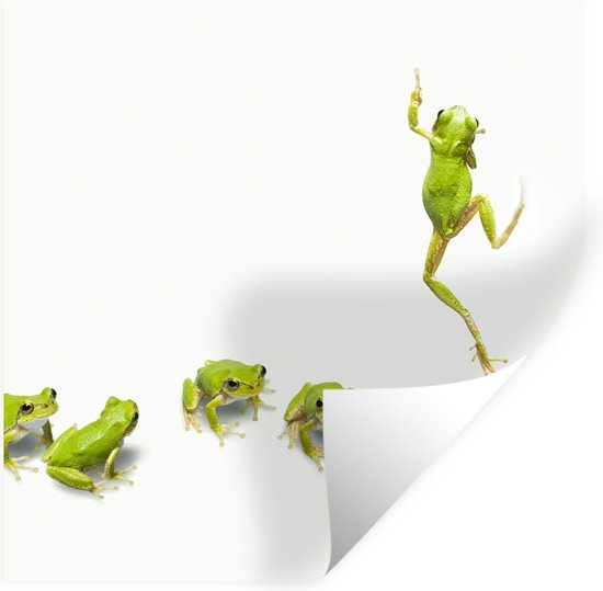 Muurstickers - Sticker Folie - Kikker - Dieren - Groen - 80x80 cm ...