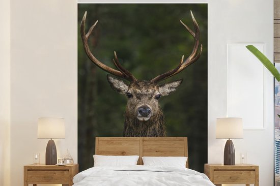 Behang - Fotobehang Hert - Gewei - Natuur - Breedte 160 cm x hoogte 240 ...