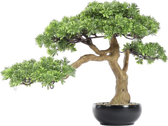 Kunst Bonsai boom | Kengai | 40cm - Namaak bonsai boompje - Luxe kunst ...