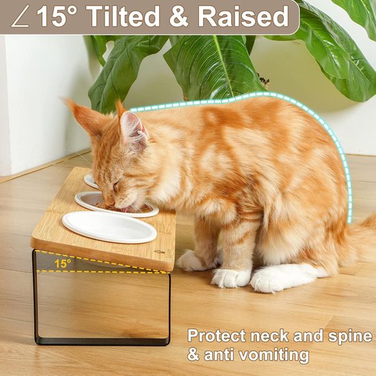 Cat Litter Box Raised Feeding Station - Ceramic Bowl Set - Wooden ...