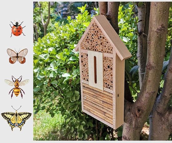 Grote Grootte Butterfly Houses Outdoor Multi Kwaliteit Houten Insect ...