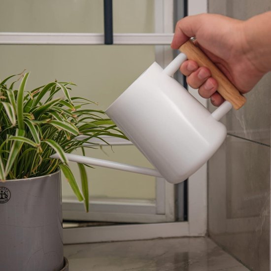 Witte gieter 1 liter - RVS indoor gieter met lange uitloop en houten ...