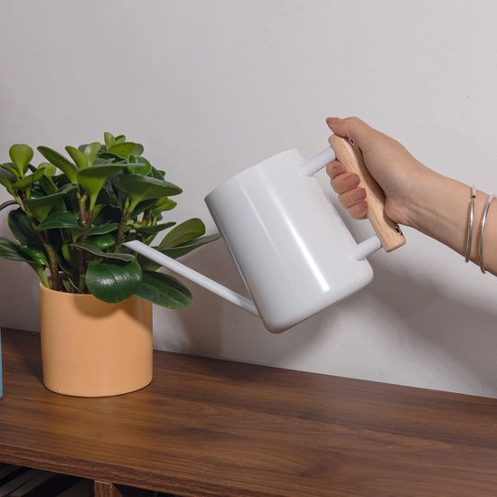 Witte gieter 1 liter - RVS indoor gieter met lange uitloop en houten ...