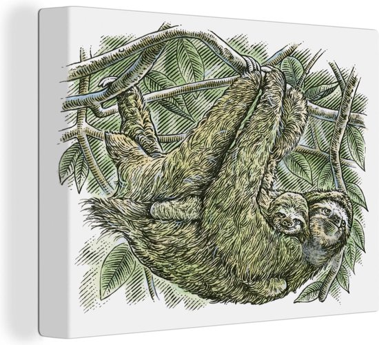 Canvas Schilderij Een tekening van een luiaard met een baby luiaard ...