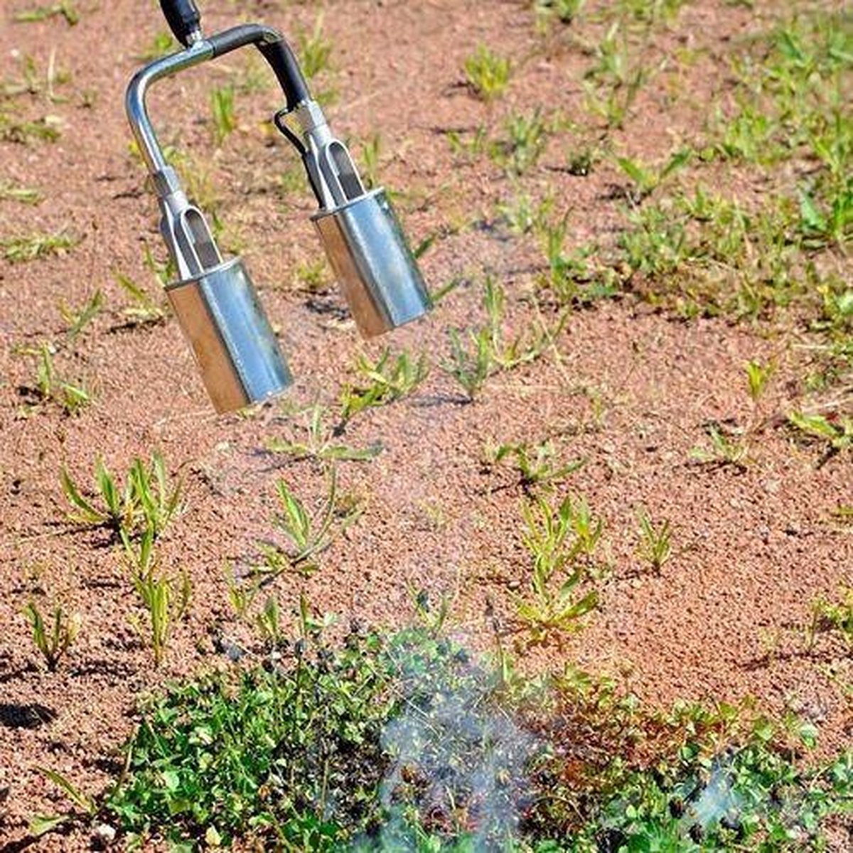 Hozelock Thermal Weeder Duo met 5 meter gasslang en drukregelaar | bol.com